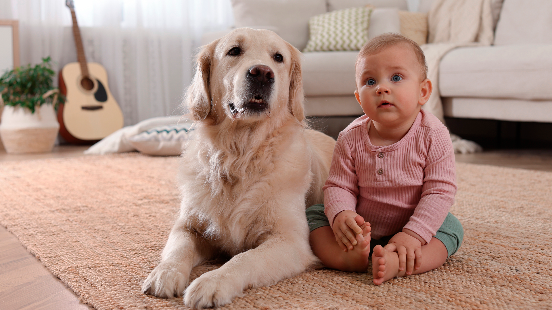 Bebés y mascotas: consejos para una convivencia segura